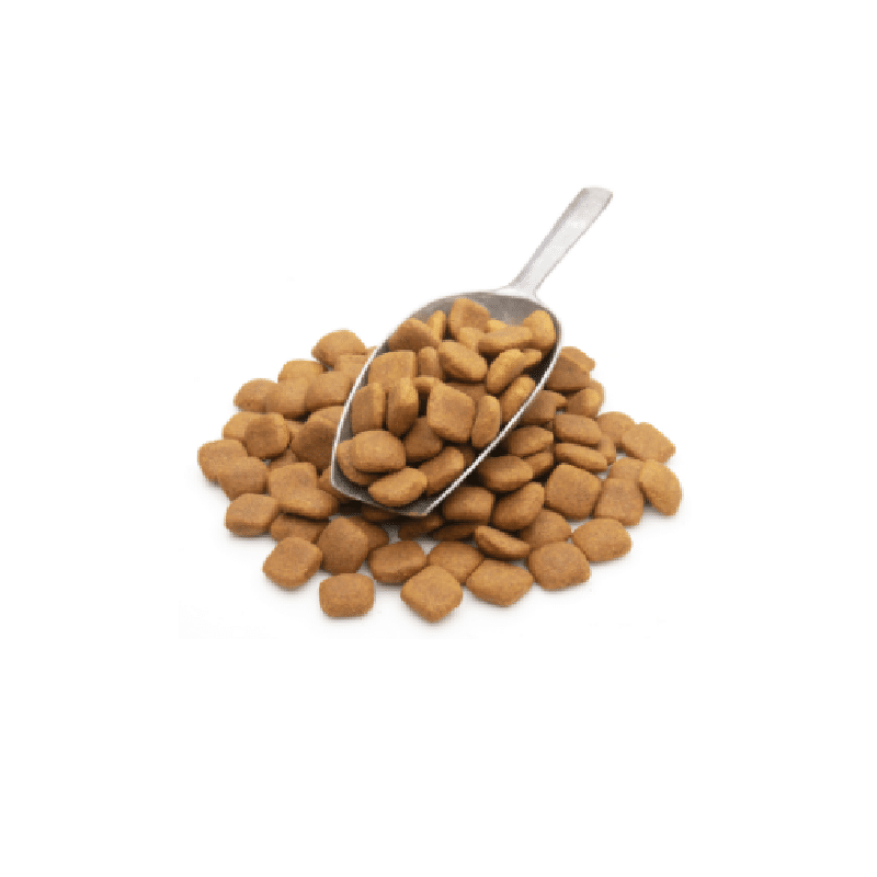 SOS Food Lab Packaged Dog Food – Shop Outlast Supply